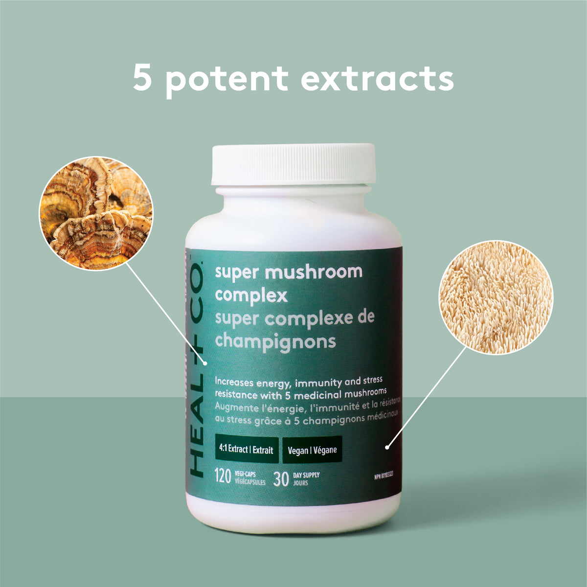 super mushroom complex bundle – Heal + Co.