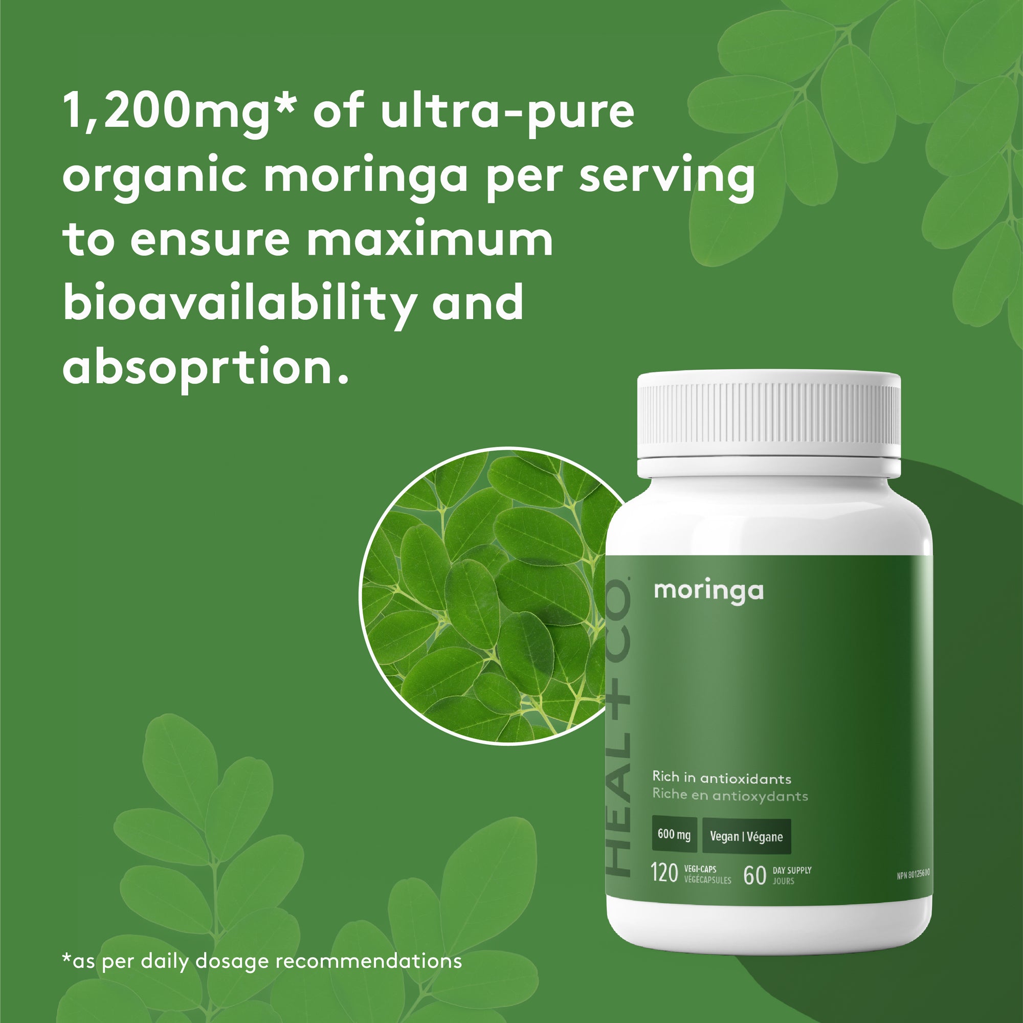 Heal + Co. Organic Moringa 600mg 120 capsules