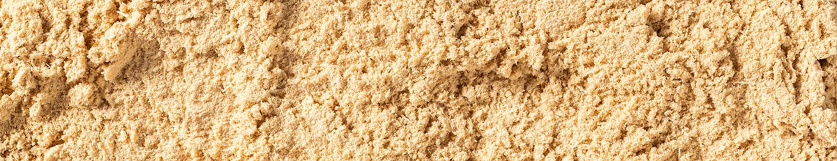Heal + Co. Ingredient Guide — Maca Benefits & Uses